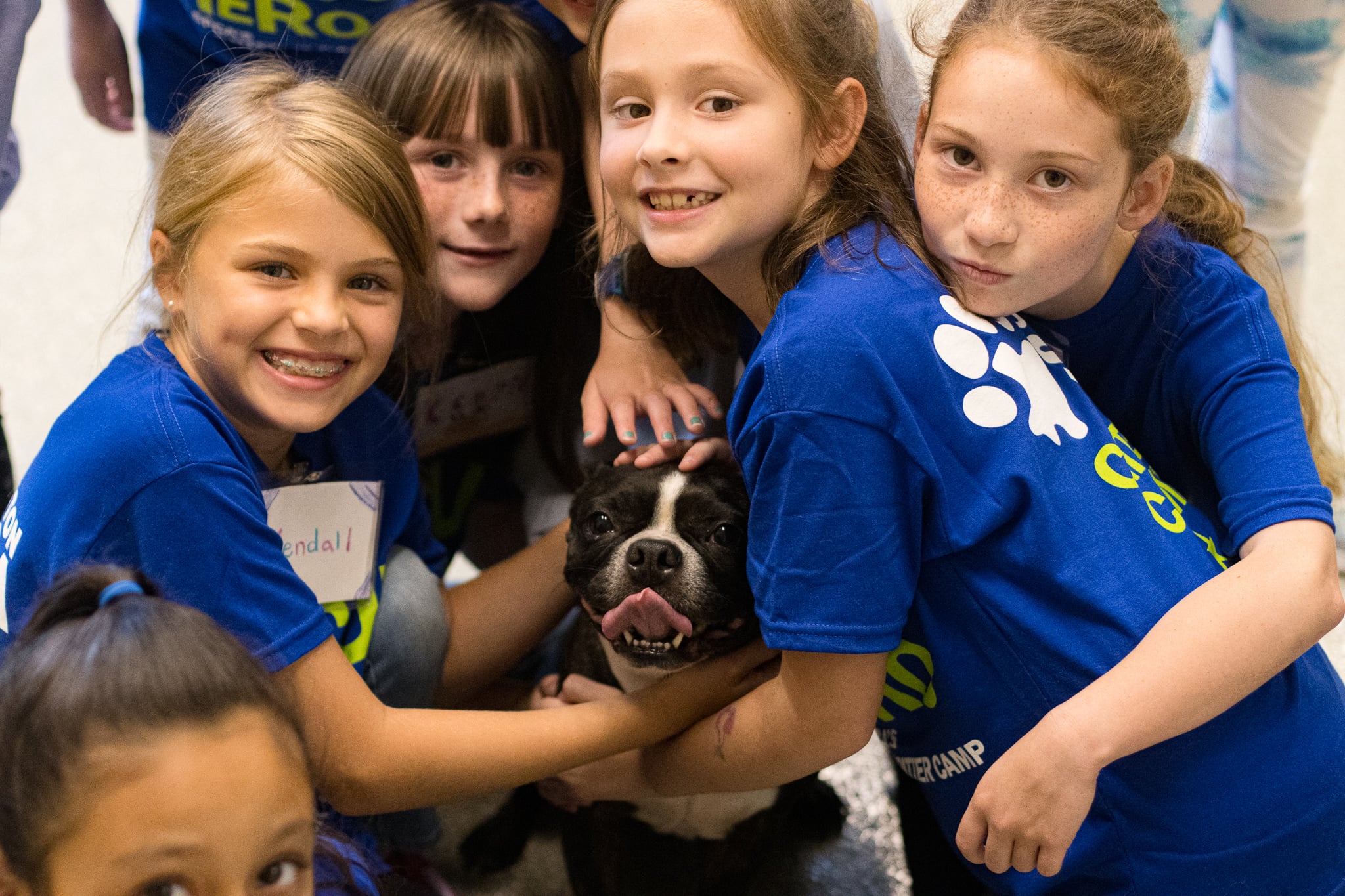 Critter Camp! - Houston SPCA